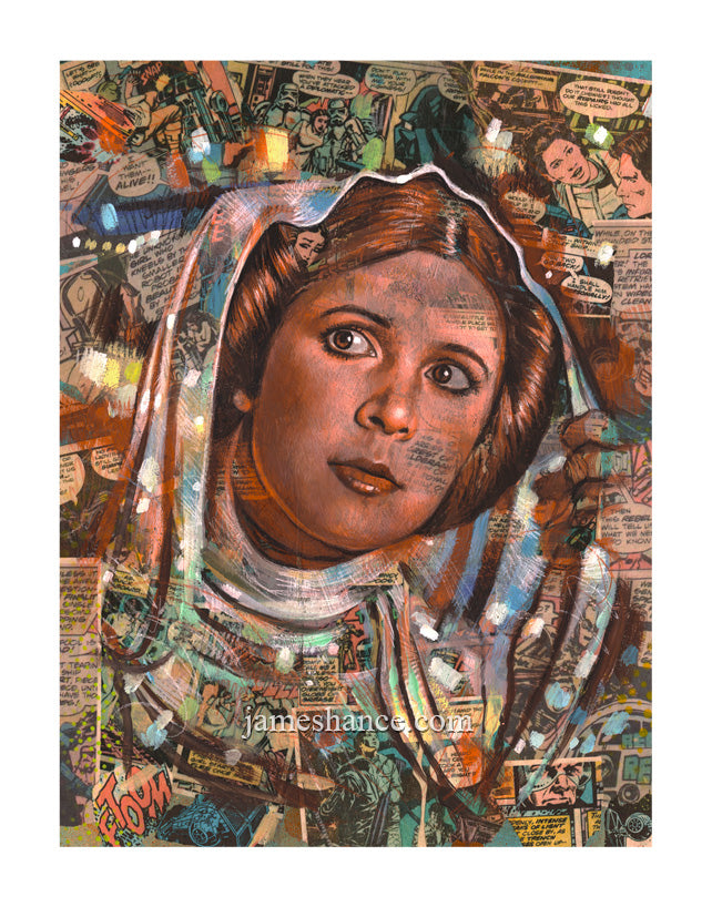 Princess (Comic Book Collection Print) – Art by James Hance